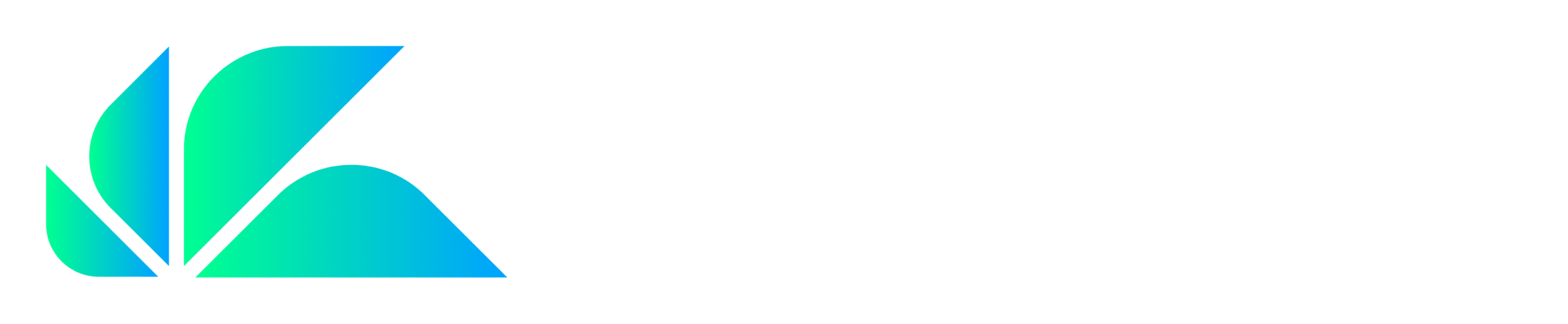 Opal Flag - Ignite Your Brand's Success with Digital Marketing